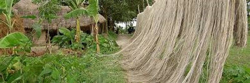 YUTE ¿QUE ES EL YUTE? — Cojines Para Jardin